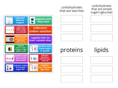Meal - Teaching resources