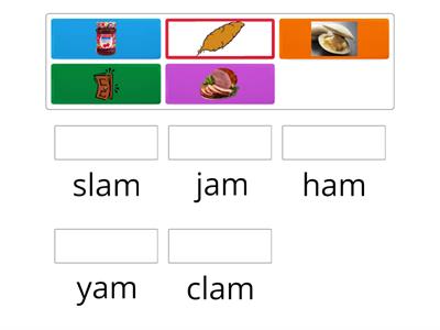 Am word family - Teaching resources