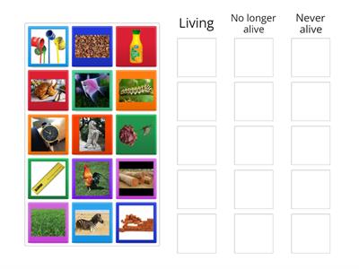 Alive not alive - Teaching resources