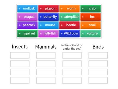 Mammals reptiles fish birds - Recursos didácticos