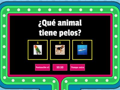 Cubierta de los animales - Recursos didácticos