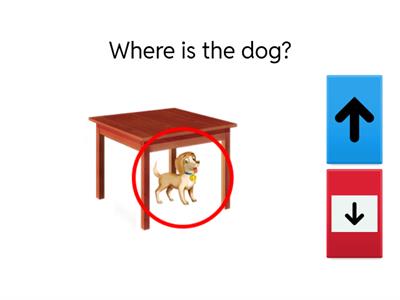 Spatial concepts - Teaching resources