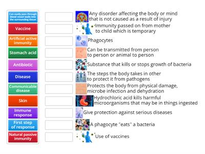 Microbes - Teaching resources
