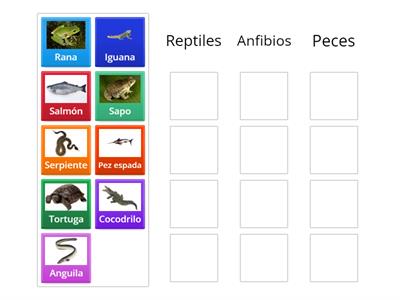 Mamiferos aves anfibios reptiles y peces - Recursos didácticos