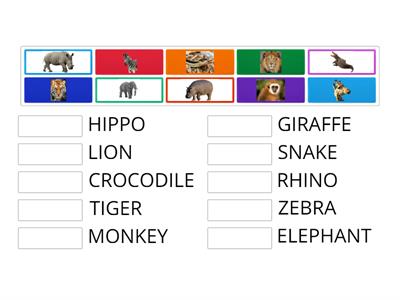 Animals Wild domestic - Teaching resources