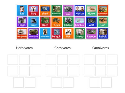 Herbivores carnivores omnivore - Teaching resources