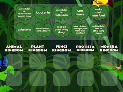 Living kingdoms - Recursos didácticos