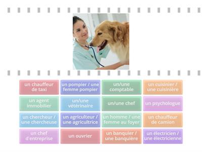 Professions - Recursos didácticos