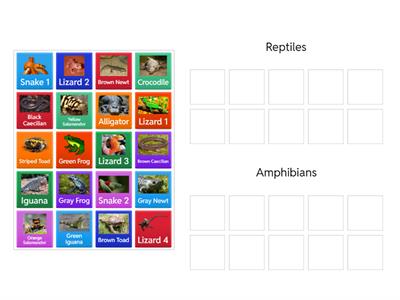 Amphibians - Teaching resources