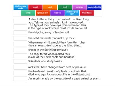 Fossils game - Teaching resources