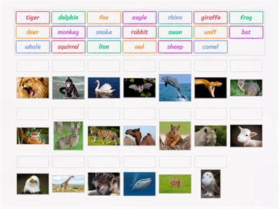 Vocabulary Animals - Recursos didácticos