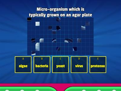 Microbes - Teaching resources