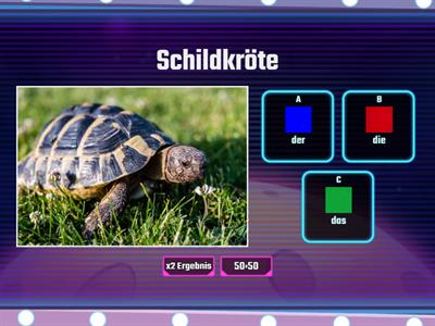 Deutsch Tiere - Unterrichtsmaterialien