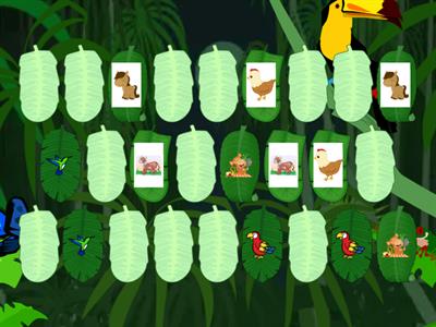Memory animales - Recursos didácticos