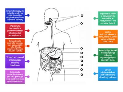 Higiena układu pokarmowego - Materiały dydaktyczne