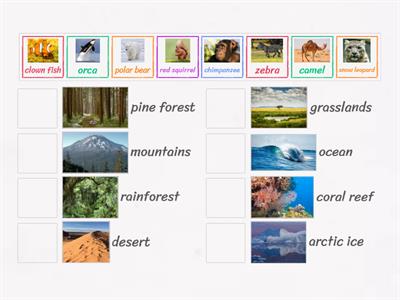 Habitats - Teaching resources