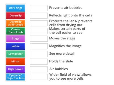 Microscope - Teaching resources