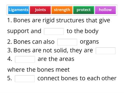 Skeletal system - Recursos didácticos