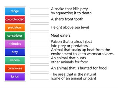 Snakes - Teaching resources