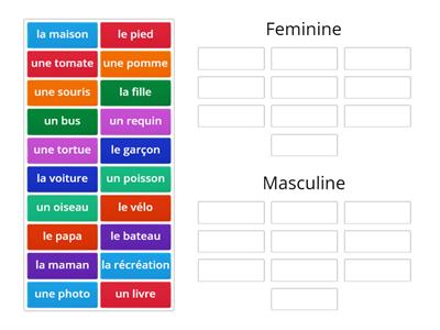 Adjectifs masculin et féminin - Ressources pédagogiques