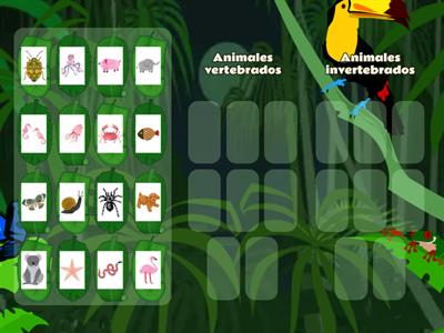 Animales Vertebrados e invertebrados - Resurse didactice