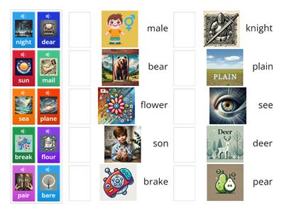 Homophone game - Teaching resources