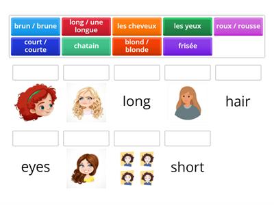 Hair - Teaching resources