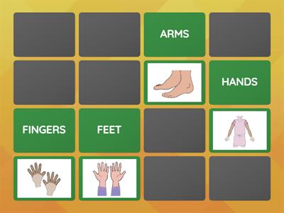Parts of the body - Teaching resources