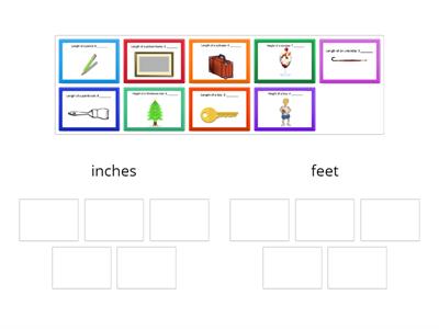 Inches feet yard - Teaching resources