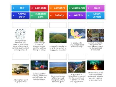 Park - Teaching resources