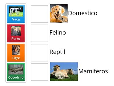 Ciencias Naturales Animales domesticos y salvajes - Recursos didácticos