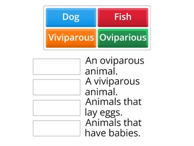 Animals Viviparous and oviparous - Recursos didácticos