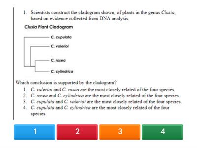 Trees - Teaching resources