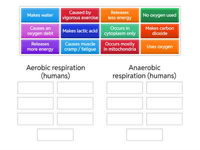 Aerobic and anaerobic respiration - Teaching resources
