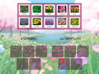 Garden - Teaching resources