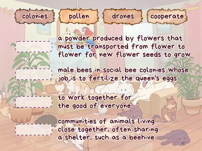 Bees - Teaching resources