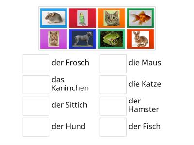 Haustiere - Teaching resources