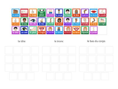 Les parties du corps - Teaching resources