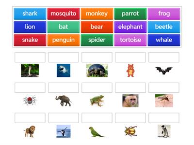 Animals - Recursos didácticos