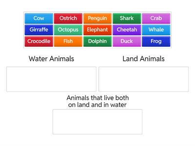 Water - Teaching resources