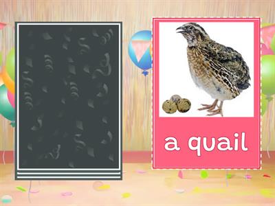 Qq - Teaching resources