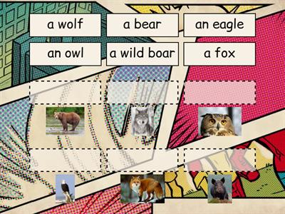 Forest - Teaching resources