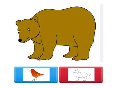 Brown bear brown bear - Teaching resources