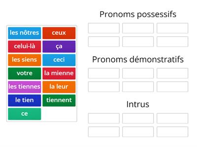 Pronoms possessifs - Ressources pédagogiques