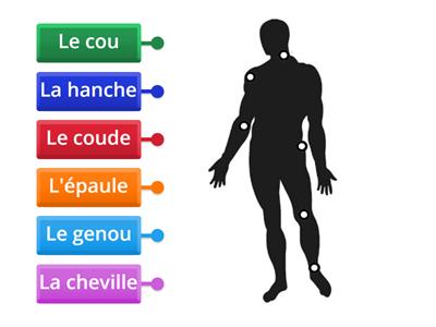Les parties du corps des animaux - Ressources pédagogiques