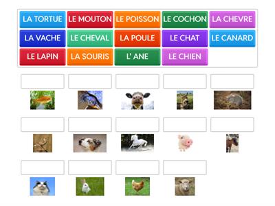Les animaux de la ferme - Ressources pédagogiques