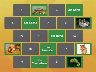 Deutsch Haustiere - Unterrichtsmaterialien