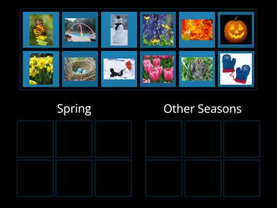 Signs - Teaching resources