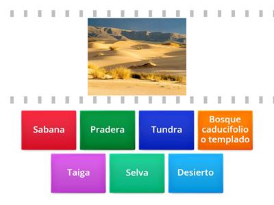 Ecosistemas terrestres - Recursos didácticos