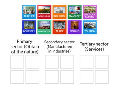 Primary secondary and tertiary sector - Recursos didácticos